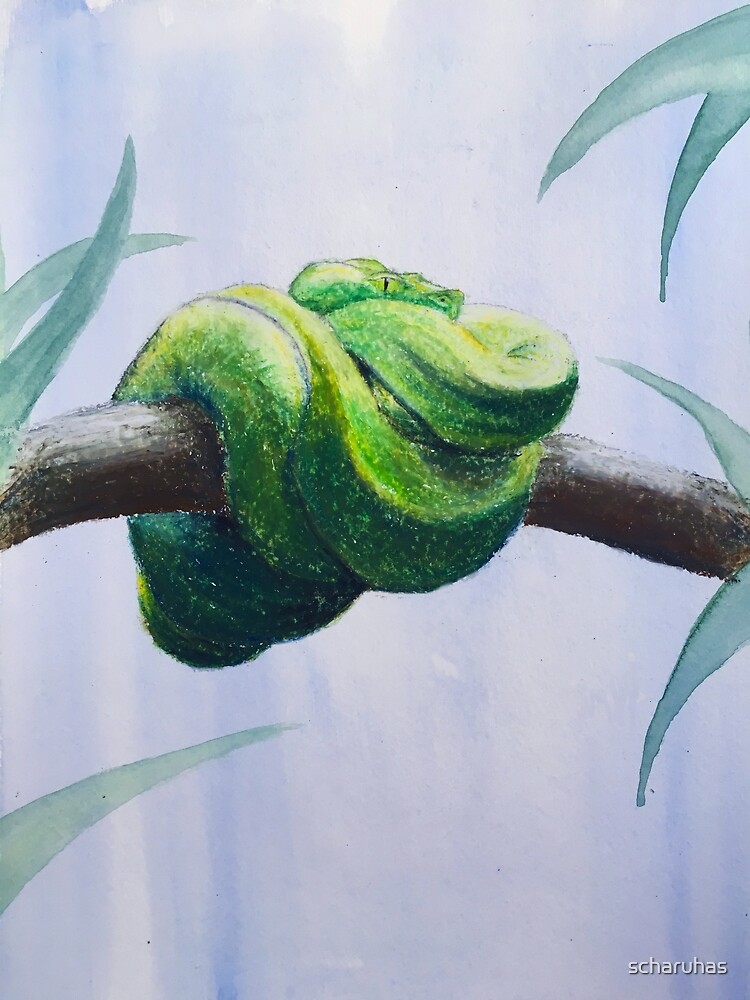 "Green Tree Snake Portrait" by scharuhas | Redbubble
