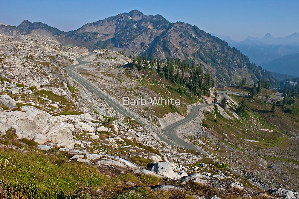 "On the way up to Artist Point (Mt. Baker)" by Barb White | Redbubble