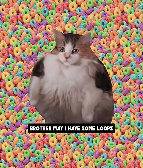 "Loops Brother Kitty" Posters by ArtsyPrincess | Redbubble