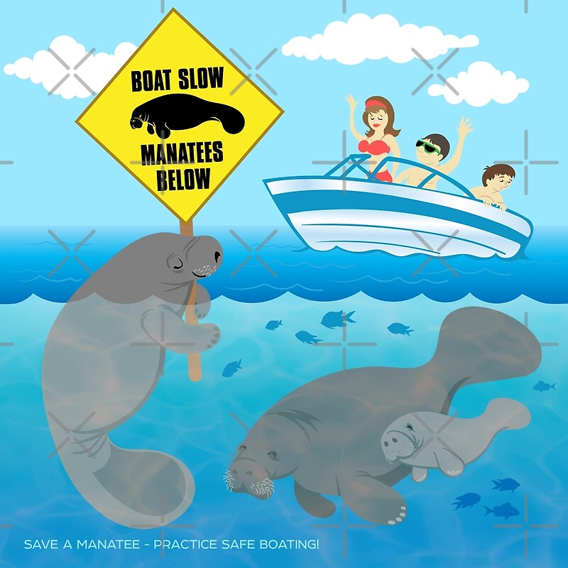 "Boat Slow Manatees Below" by PepomintNarwhal | Redbubble