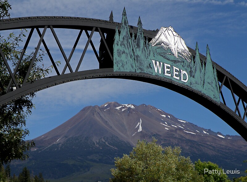 "Welcome to Weed, California that is!" by Patty Lewis | Redbubble