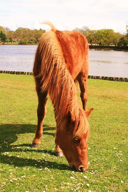 "Ginger Pony" by RedHillDigital | Redbubble