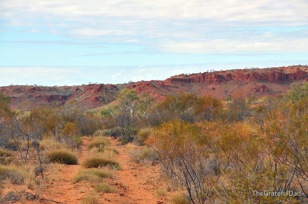 "Little Sandy Desert" by TheGratefulDad | Redbubble