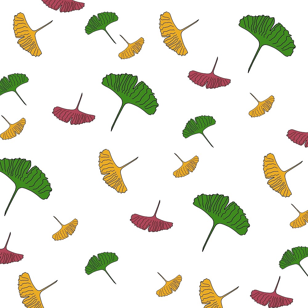 "Ginkgo pattern, ginkgo biloba, australian leaf, leaves, nature, gingko ...