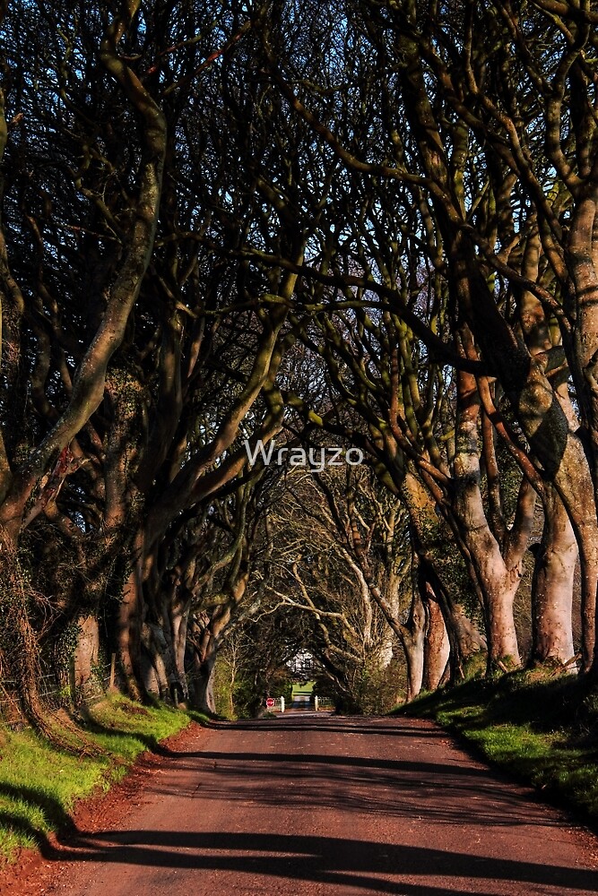 "Dark Hedges Canopy" by Wrayzo | Redbubble