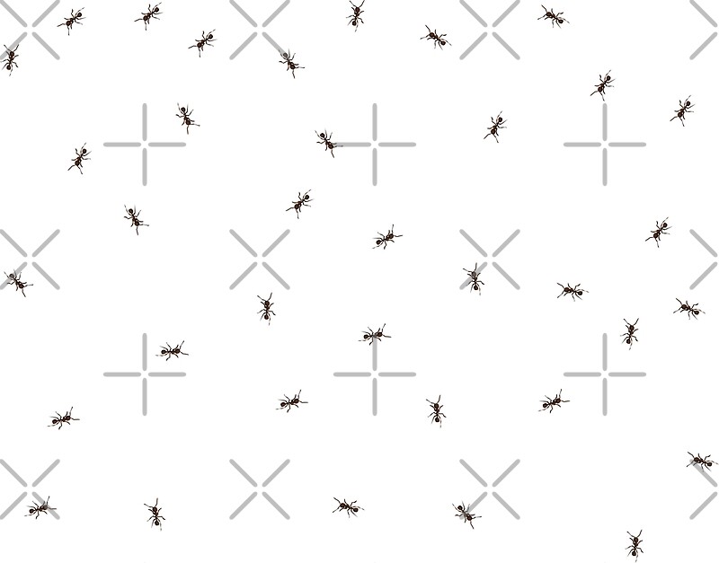 "Covered in Ants Party" by theglobaladvent | Redbubble