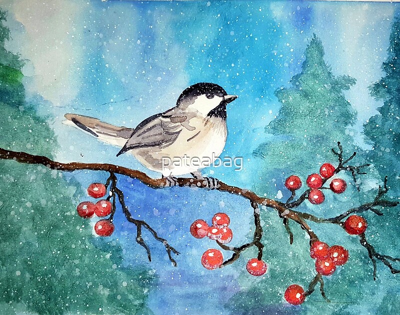 "Little Snowbird" by pateabag | Redbubble