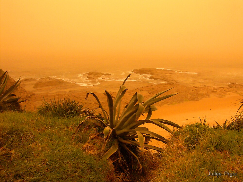 "orange morning of the apocalypse" by Juilee Pryor | Redbubble