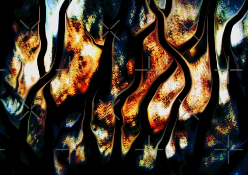 "Fire Spirits Of The Forest " by C J Lewis | Redbubble