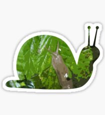 Slug Bug Stickers | Redbubble