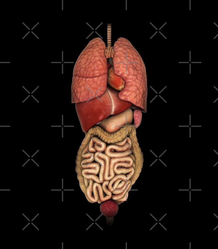 "Human entrails" by dima-v | Redbubble