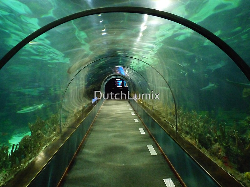 "Fish tank tunnel" by DutchLumix | Redbubble