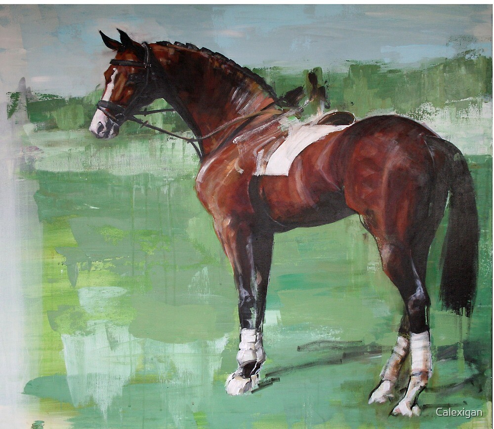 "Timolin" by Calexigan | Redbubble