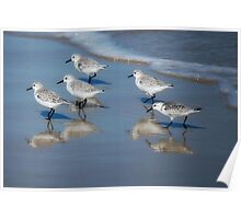 "A Walk on the Beach" by Sandy Woolard | Redbubble