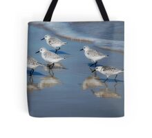 "A Walk on the Beach" by Sandy Woolard | Redbubble