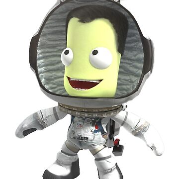 "Smiling Kerbal (KSP)" Sticker for Sale by zuexs | Redbubble
