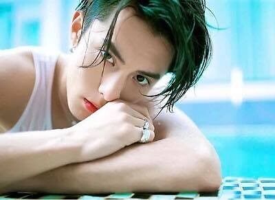 "Dylan Wang Stickers" by mediiabee | Redbubble