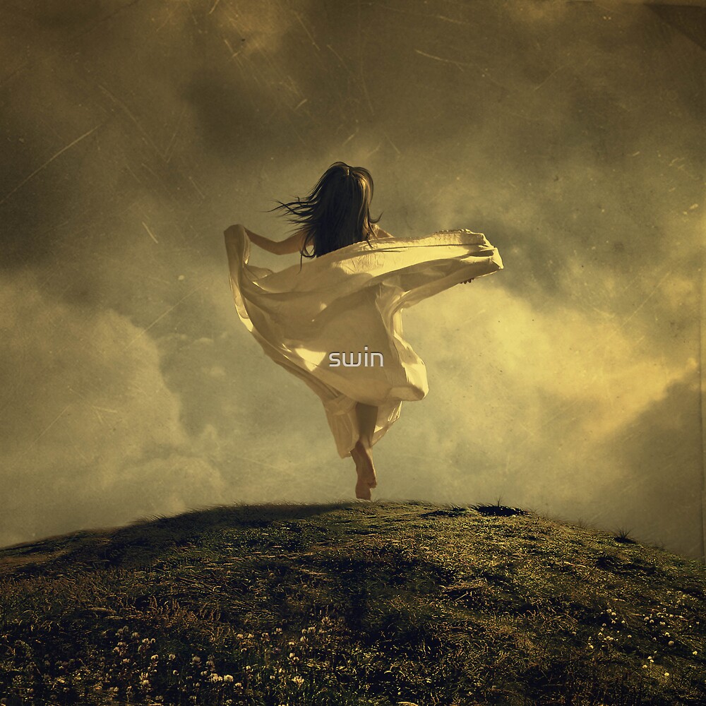 "The Tulip Dance" by swin | Redbubble