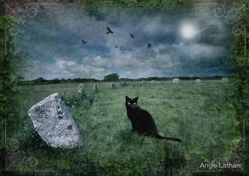 "Cornish Black Cat" by Angie Latham | Redbubble