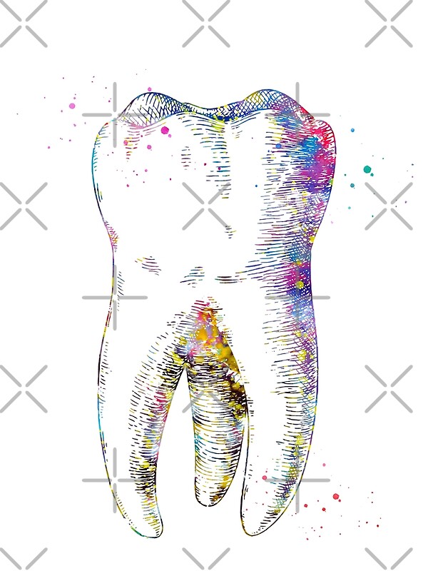 " Human tooth" by erzebetth | Redbubble