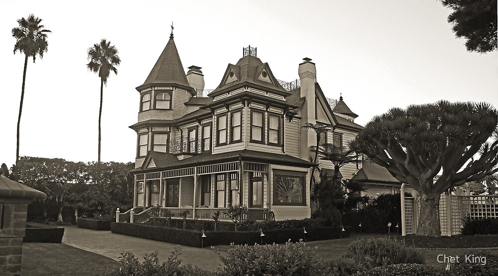 "The Baby Del" by Chet King | Redbubble