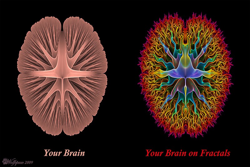 "Your Brain on Fractals" by wolfepaw | Redbubble