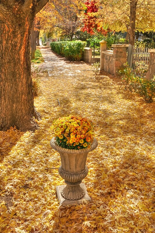 "Autumn In Prescott Arizona " by K D Graves Photography | Redbubble