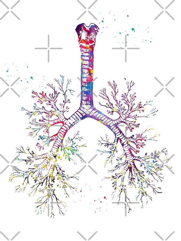 "Bronchial tree" by erzebetth | Redbubble