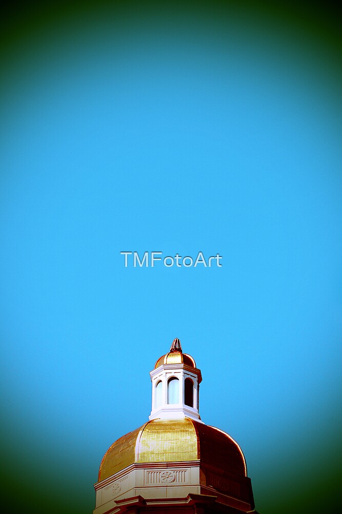 "Atop Pat Neff Hall" by Trish Mistric | Redbubble