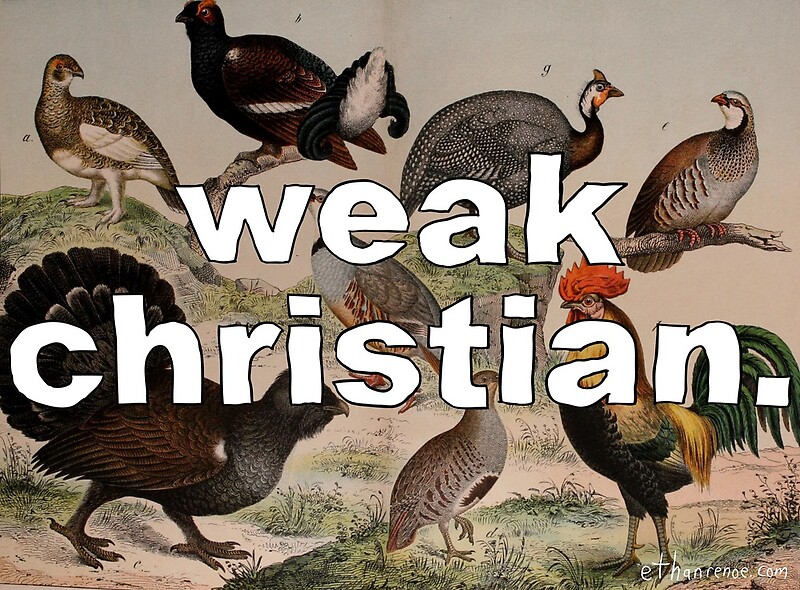 "Weak Birds" by Ethan Renoe | Redbubble