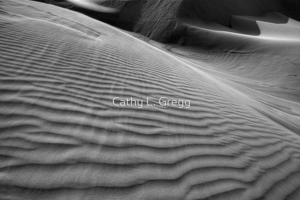 "Wind, Lines & Texture" by Cathy L. Gregg | Redbubble