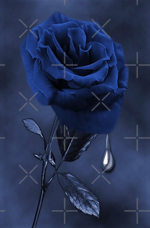 "PHOTO SHOPPED (BLUE TEAR DROP ROSE).Oh, blue rose is just growing ...