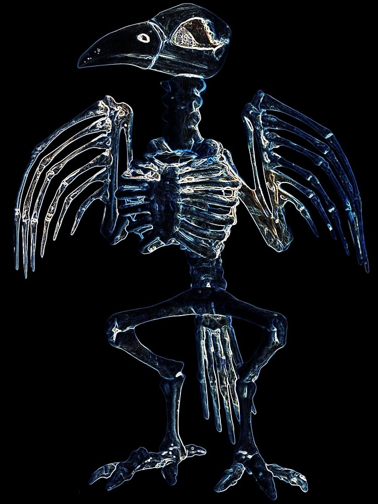 "CROW SKELETON" by BOLLA67 | Redbubble