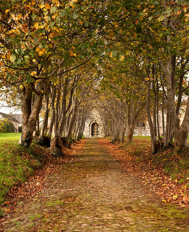 "Church Walkway" by Robert Kendall | Redbubble