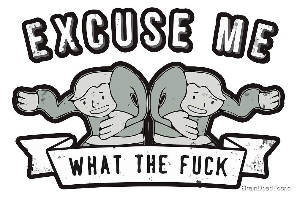"Excuse me what the f*ck - Fallout meme" by BrainDeadToons | Redbubble