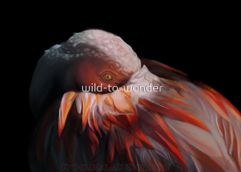 "Dramatic Flamingo" by wild-to-wonder | Redbubble