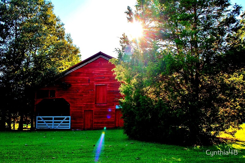 "Sun Shining Over Red Barn" by Cynthia48 | Redbubble