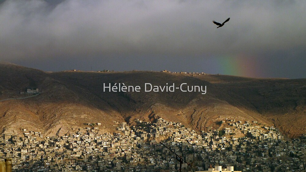 "Bird of omen" by Hélène David-Cuny | Redbubble