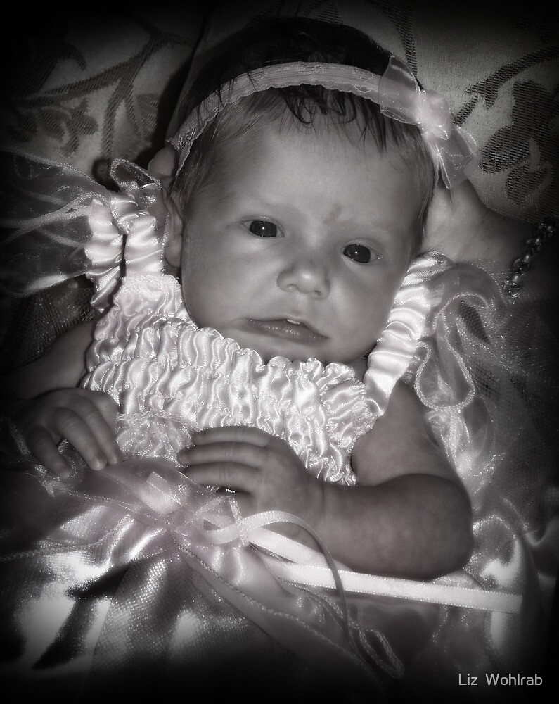 "Baby Isabella" by Liz Wohlrab | Redbubble