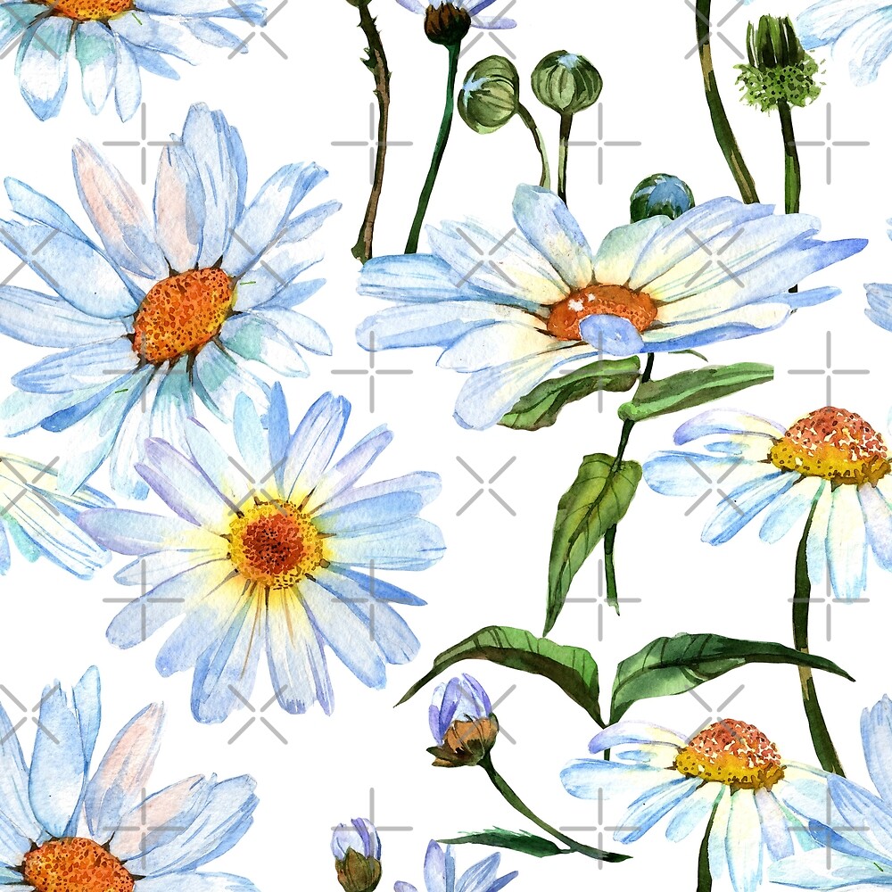 "Pretty White Daisy Flower Floral Pattern " by ColorFlowArt | Redbubble