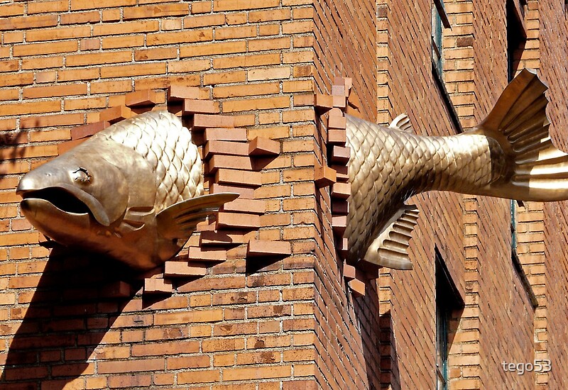 "fish swimming through the wall" by tego53 | Redbubble