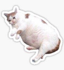 Crying Cat Meme Stickers | Redbubble