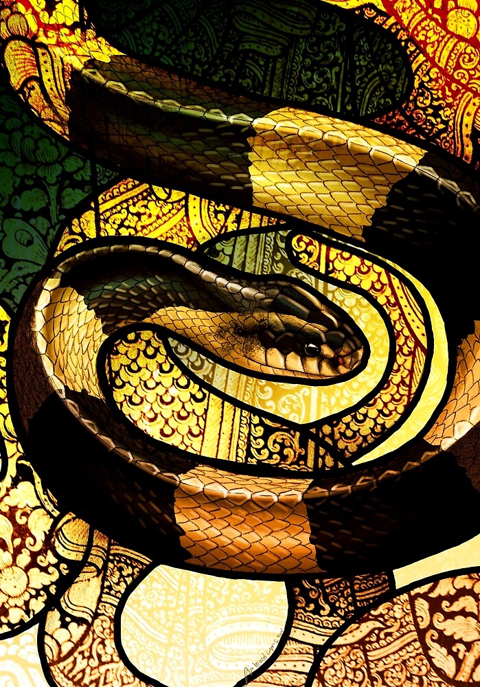 "Banded Krait" by CulpeoFox | Redbubble