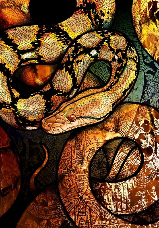 "Reticulated Python" by CulpeoFox | Redbubble