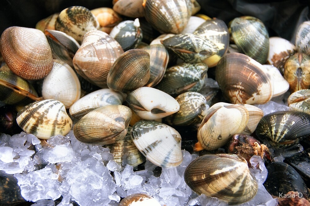 "Shellfish on Ice" by Kasia-D | Redbubble