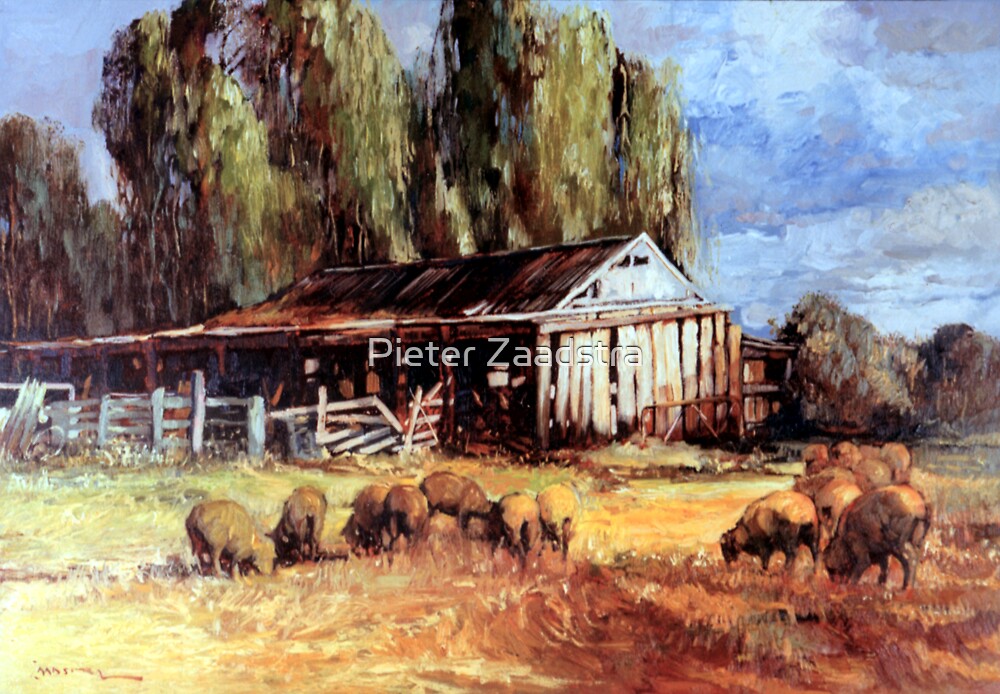 "Old Slab Yards and Sheep - Australian Rural Scene " by Pieter Zaadstra ...