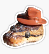 Ball Python: Gifts & Merchandise | Redbubble