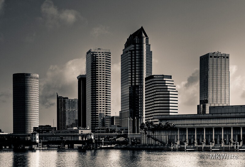 "City of Tampa Skyline HDR Duotone Experience" by MKWhite | Redbubble
