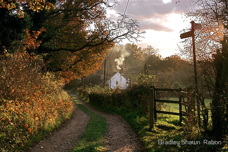 ""Country Lane In The Late Autumn Sunlight"" by Bradley Shawn Rabon ...