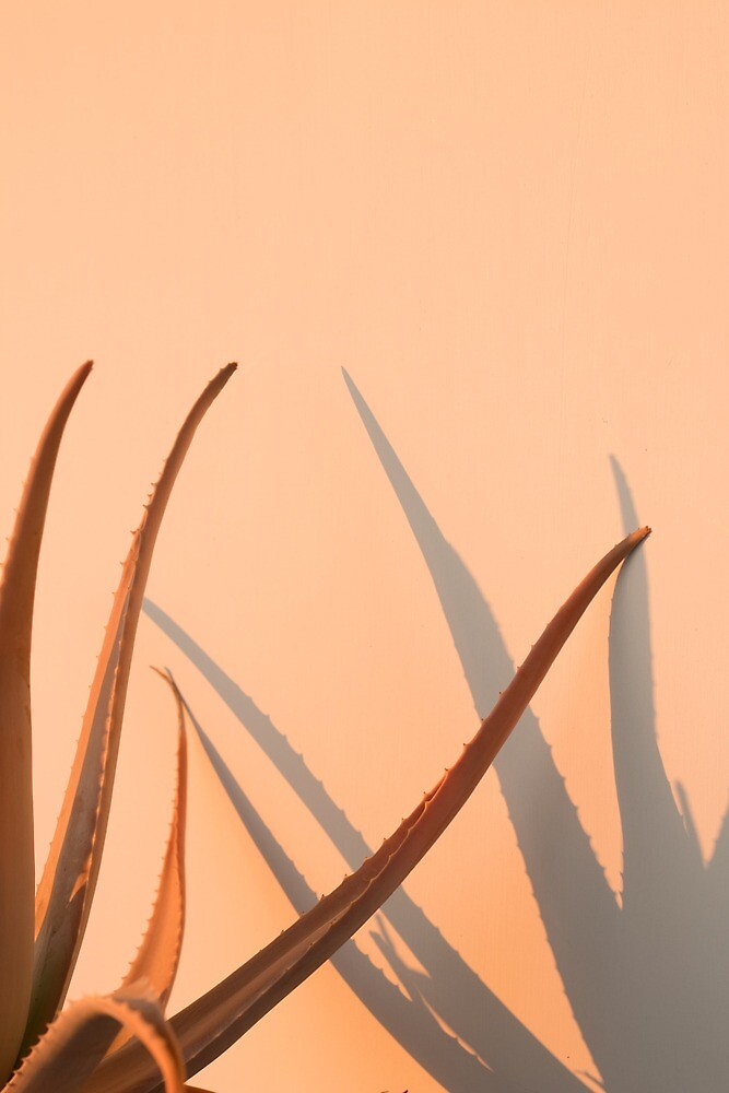 "Sharp shadows" by leoviva | Redbubble